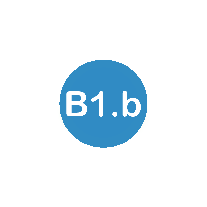 B1 b Spanish Level Course Cervantes Online B1 b Spanish Level Course Cervantes Online